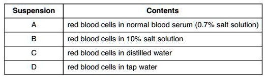 a student prepared four different red blood cell suspensions as shown ...