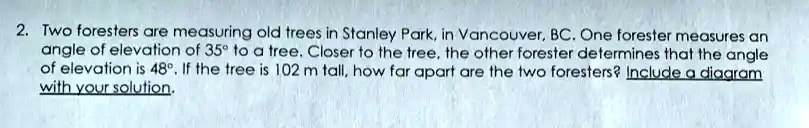 Two foresters are measuring old trees in Stanley Park in Vancouver, BC ...