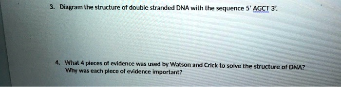 diagram the structure of double stranded dna with the sequence agct 3 ...