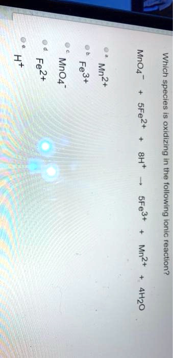 SOLVED: +H Fe2+ MnO4 Fe Mno4 Mn2+ Which 3+ species SFe?+ oxidizing 8H ...