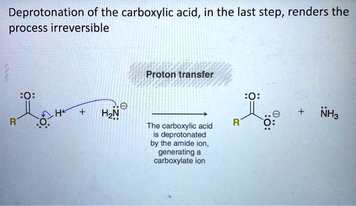 deprotonation of the carboxylic acid in the last step renders the ...