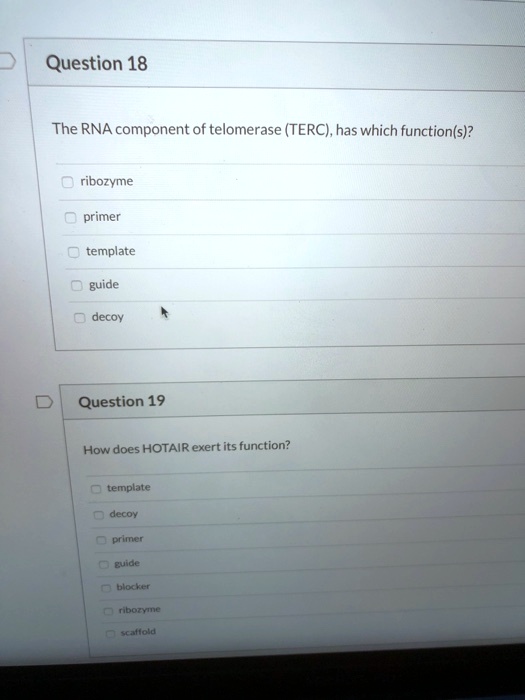 Question 18 The RNA component of telomerase (TERC), has which function ...