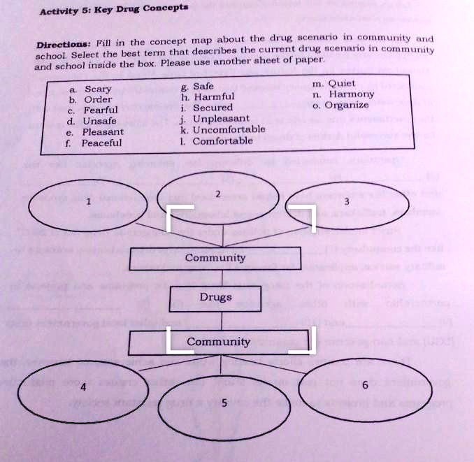 activity 5 key drug concepts directions fill in the concept map about ...