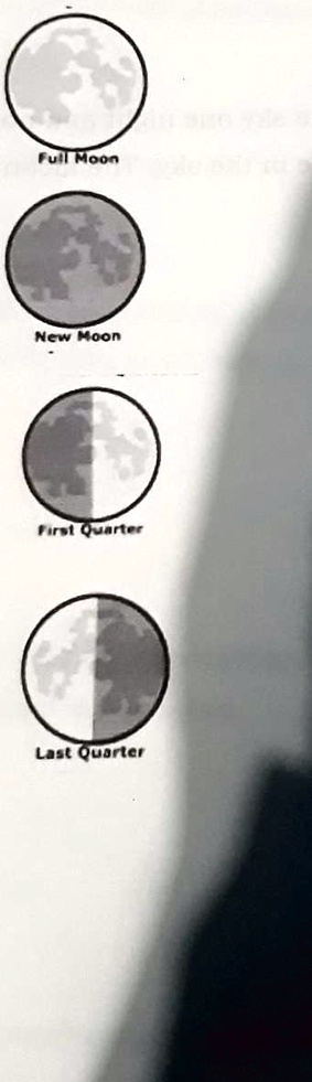 SOLVED: 'arrange the correct cyclical pattern of the moon by numbering 1-4'
