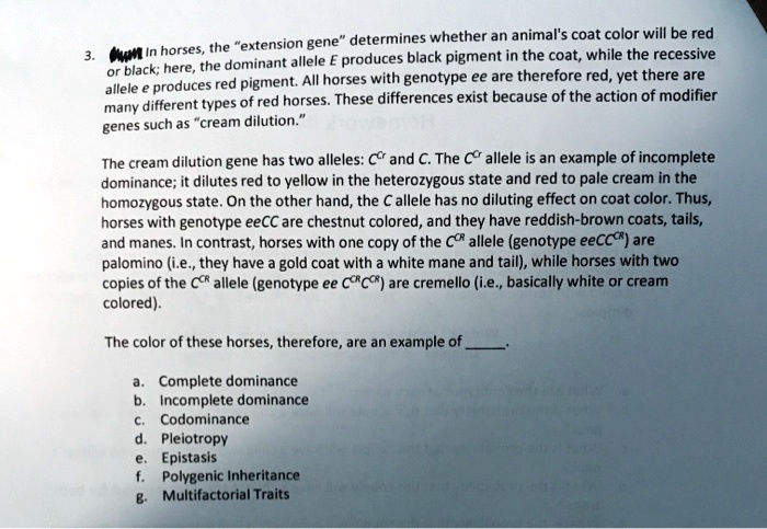 SOLVED: Determines whether an animal's coat color will be red. In horses, the exteasallele e ...