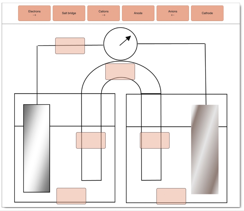 SOLVED: Label the features of a galvanic cell using the diagram below ...