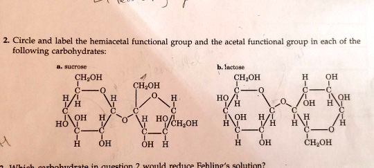 2 circle and label the hemiacetal functional group and the acetal ...