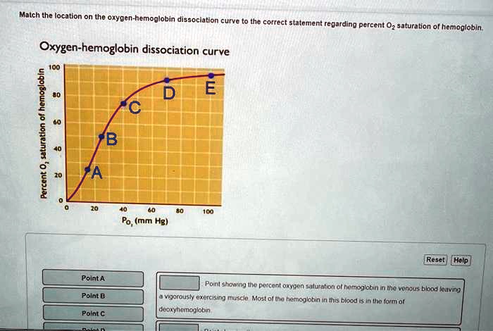 Match the location on the oxygen-hemoglobin dissociation curve to the ...