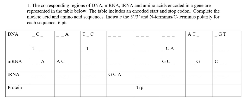 SOLVED: 1. The corresponding regions of DNA, mRNA, tRNA and amino acids encoded in a gene are ...