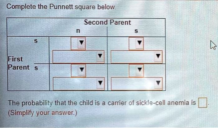 SOLVED: Complete the Punnett square below: Second Parent I First Parent ...