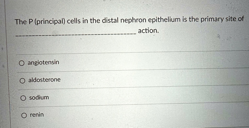 The P (principal) cells in the distal nephron epithelium is the primary ...