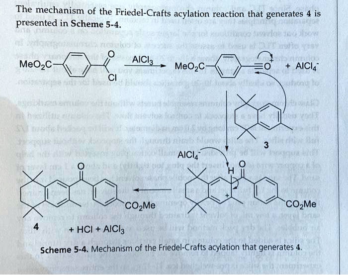 the mechanism of the friedel crafts acylation reaction that generates 4 ...