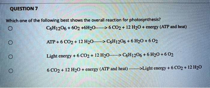 SOLVED: QUESTION 7 Which one of the following best shows the overall ...