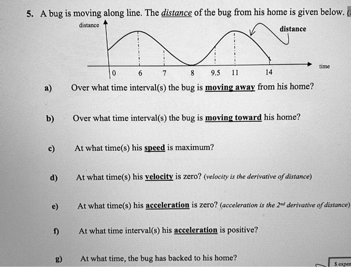 a bug is moving along line the distance of the bug from his home is given below distance ...