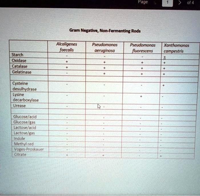 VIDEO solution: Text: Page 14 Gram-Negative, Non-Fermenting Rods ...