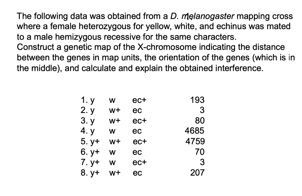 SOLVED: The following data was obtained from a D. melanogaster mapping ...