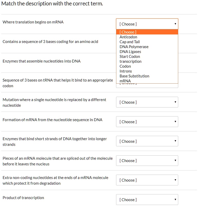 SOLVED: Match the description with the correct term Where translation begins on mRNA [Choose ...