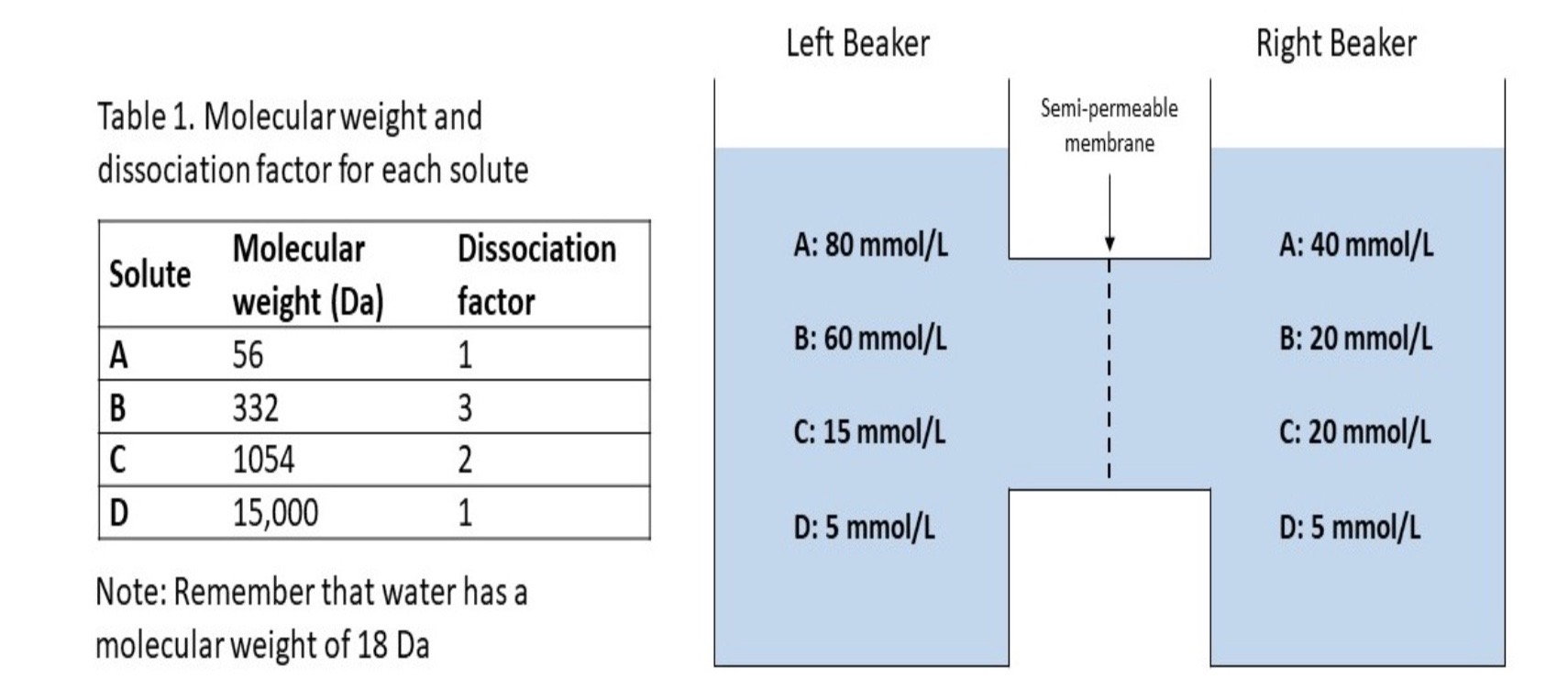 SOLVED: Left Beaker Right Beaker Table 1. Molecularweight and ...