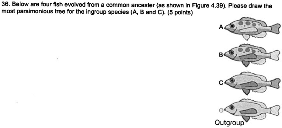 SOLVED: Please explain and show the most parsimonious tree. 36. Below ...