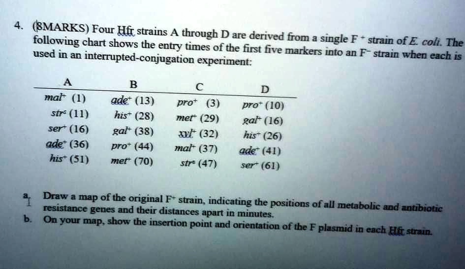 SOLVED: foMARKS) Four Hf strains A through D are derived from following ...
