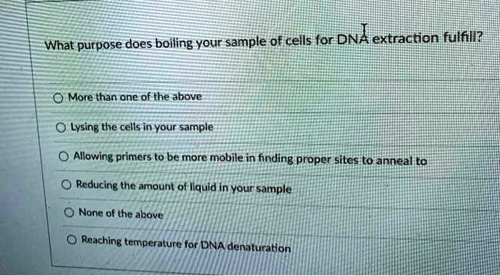 SOLVED: boiling your sample of cells for DNA extraction fulfil? What ...