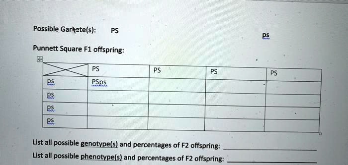 possible gartetes punnett square f1 offspring psps list all possible ...