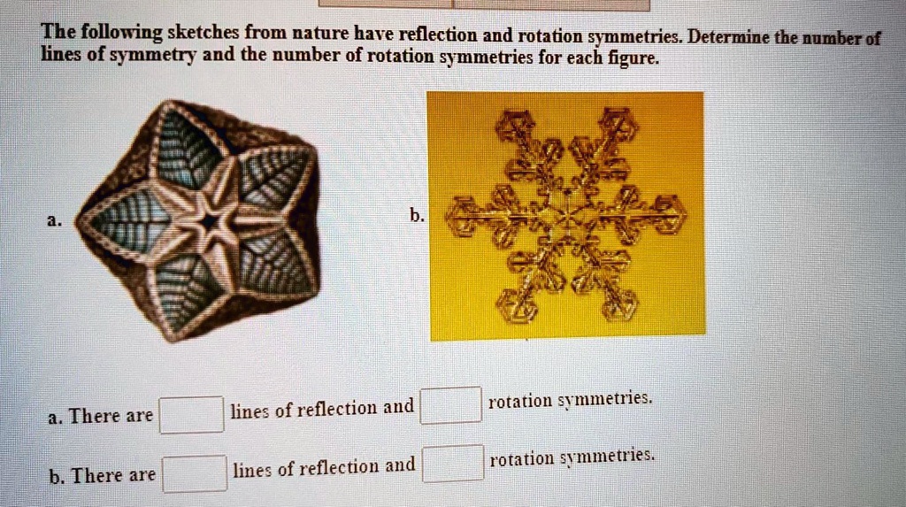 Solved The Following Sketches From Nature Have Reflection And Rotation