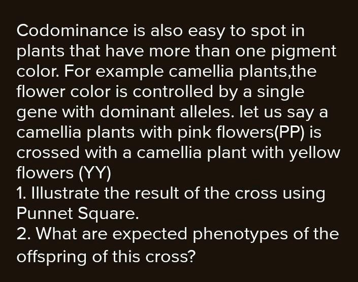 SOLVED: 1. Illustrate the result of the cross using Punnett Square. 2 ...