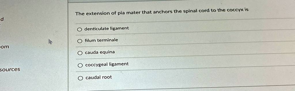 The extension of pia mater that anchors the spinal cord to the coccyx ...