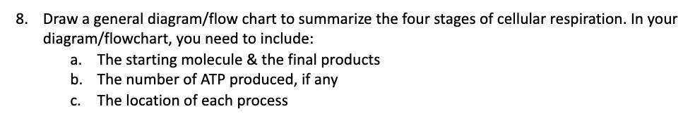 8. Draw a general diagram/flow chart to summarize the four stages of ...