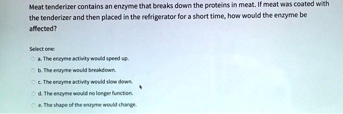 meat tenderizer contains an enzyme that breaks down the proteins in ...