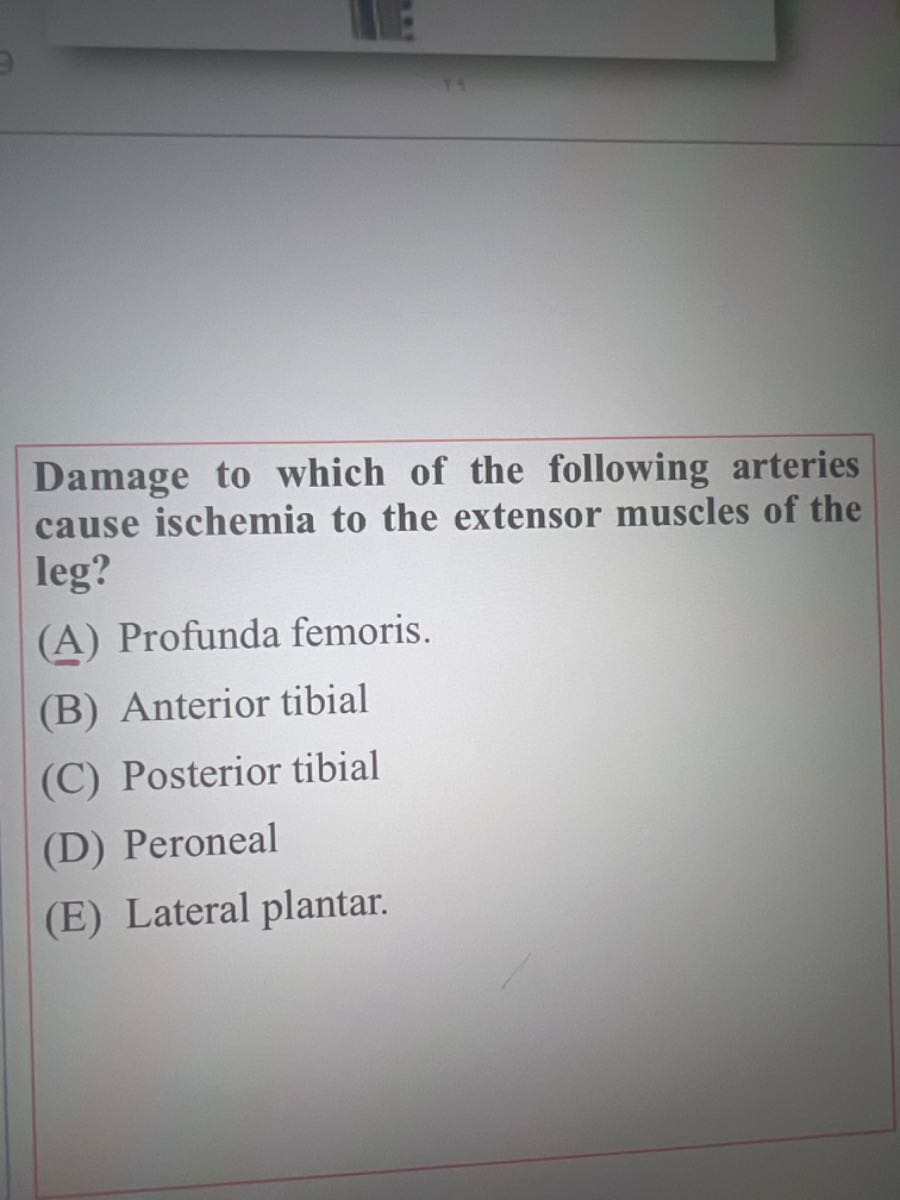 Damage to which of the following arteries cause ischemia to the ...