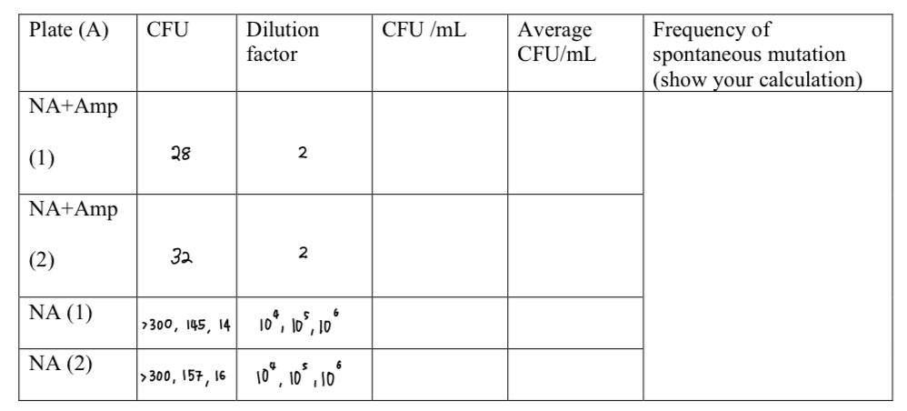 Plate A Cfu Dilution Factor Cfu Ml Average Cfu Ml Frequency Of Spontaneous Mutation Show