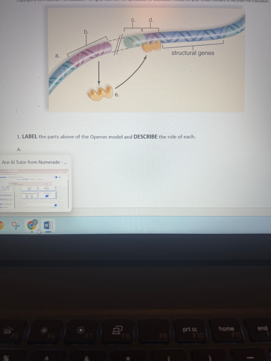 SOLVED: a. c. d. b. 1+ structural genes e. 1. LABEL the parts above of ...