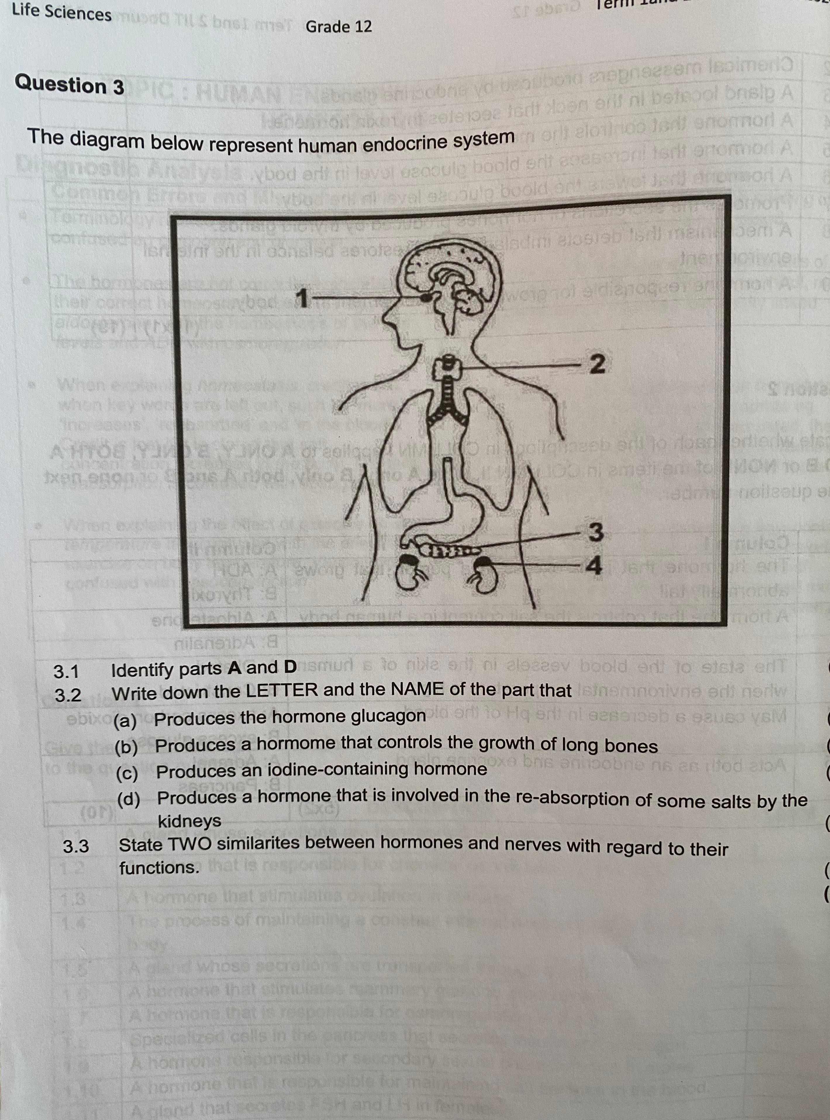 Life Sciences Grade 12 Question 3 The diagram below represent human ...