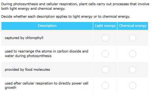 During photosynthesis and cellular respiration, plant cells carry out ...
