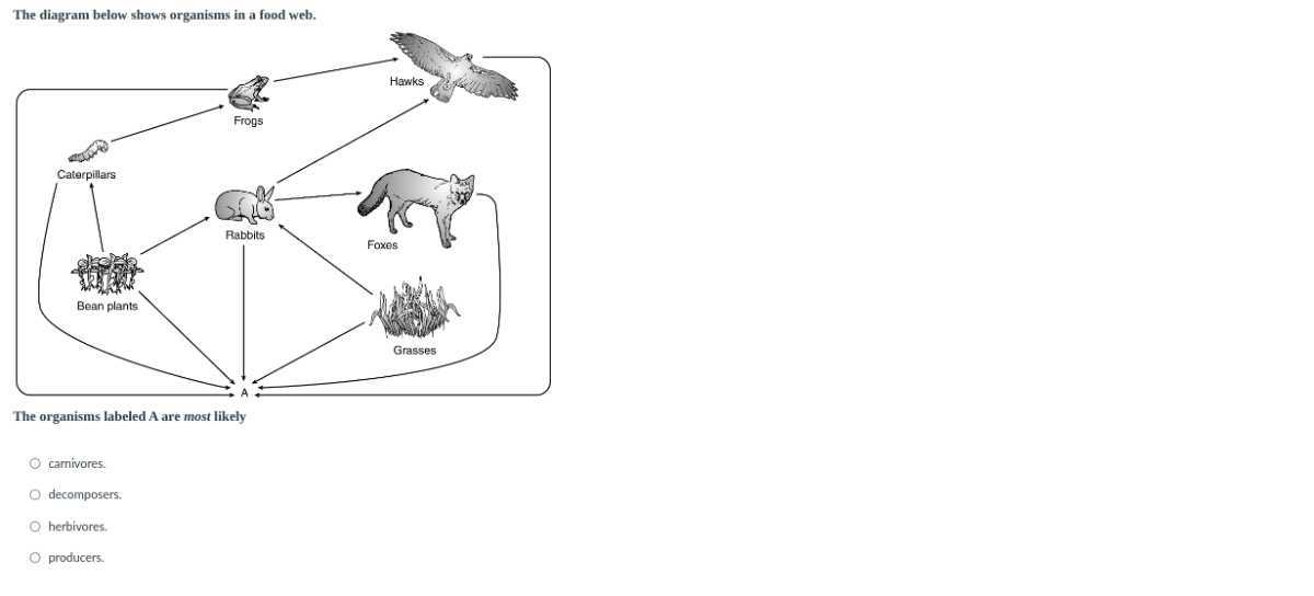 The diagram below shows organisms in a food web. The organisms labeled ...