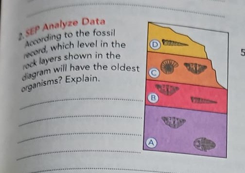 2. Sep Analyze Data According to the fossil record, which level in the ...