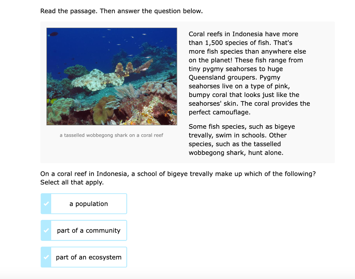Read the passage. Then answer the question below. a tasselled wobbegong ...