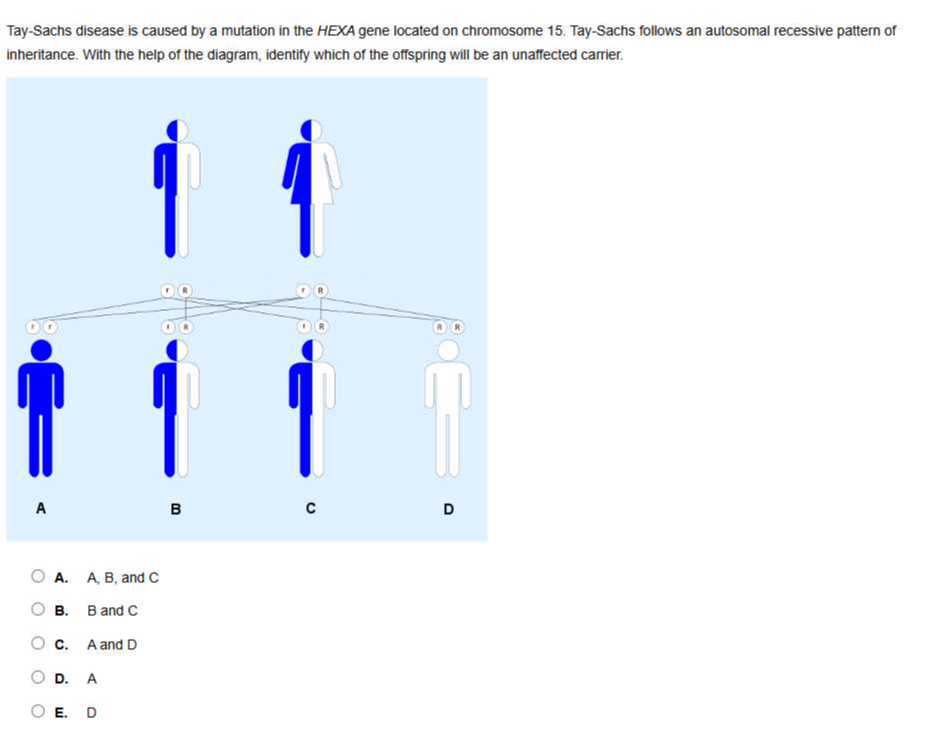 Tay-Sachs disease is caused by a mutation in the HEXA gene located on ...