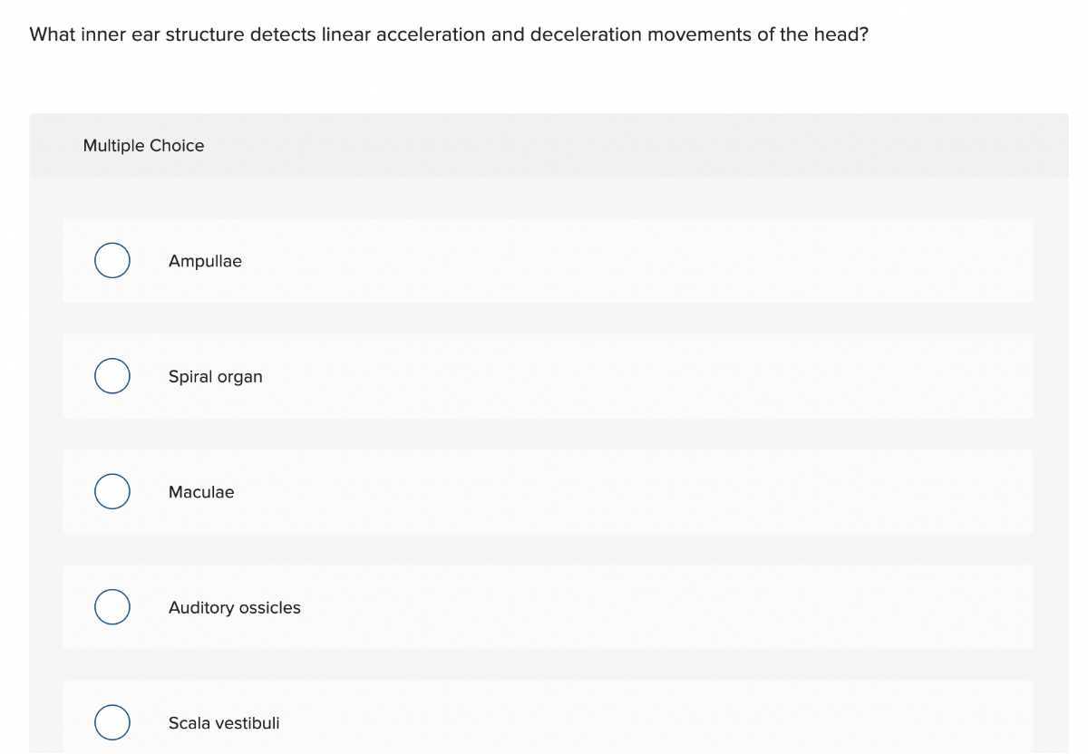 what inner ear structure detects linear acceleration and deceleration ...