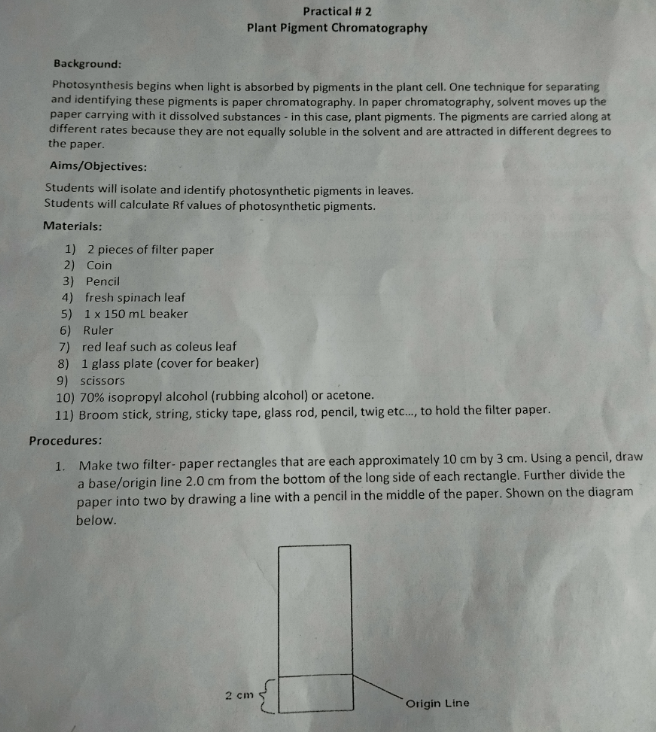 Practical # 2 Plant Pigment Chromatography Background: Photosynthesis ...