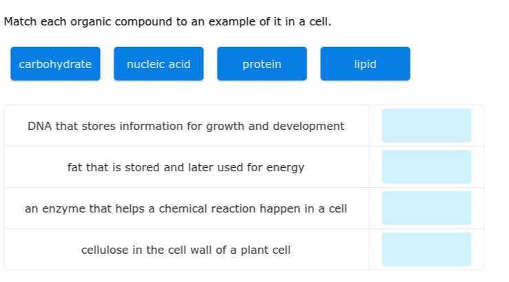 match each organic compound to an example of it in a cell carbohydrate ...