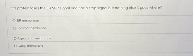 If a protein loses the ER SRP signal and has a stop signal but nothing ...
