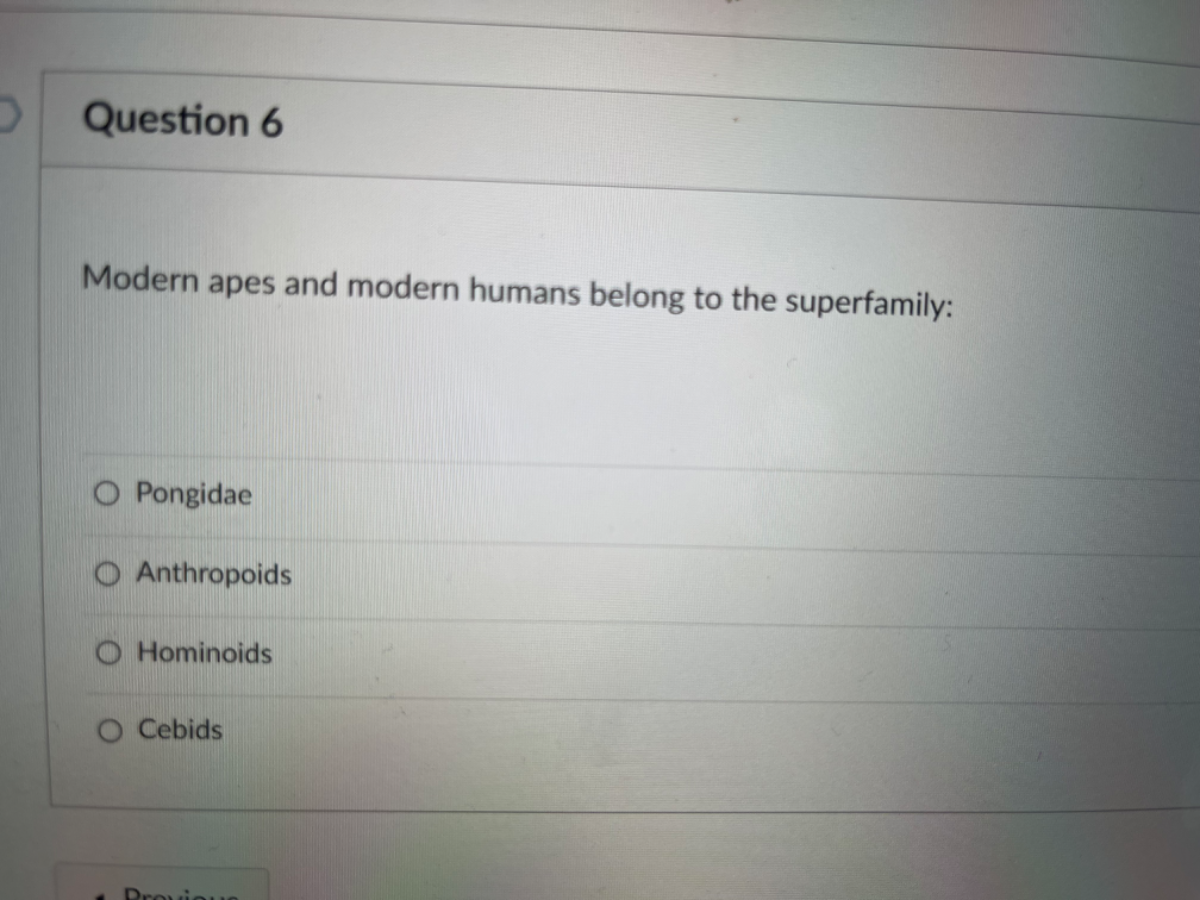 SOLVED: Question 6 Modern apes and modern humans belong to the ...