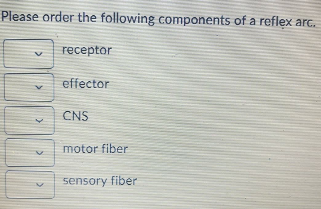 Please order the following components of a reflex arc. receptor effector CNS motor fiber sensory ...