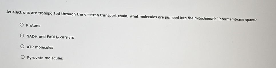 As electrons are transported through the electron transport chain, what ...