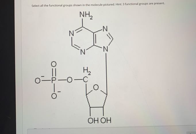Select all the functional groups shown in the molecule pictured. Hint: 3 functional groups are ...
