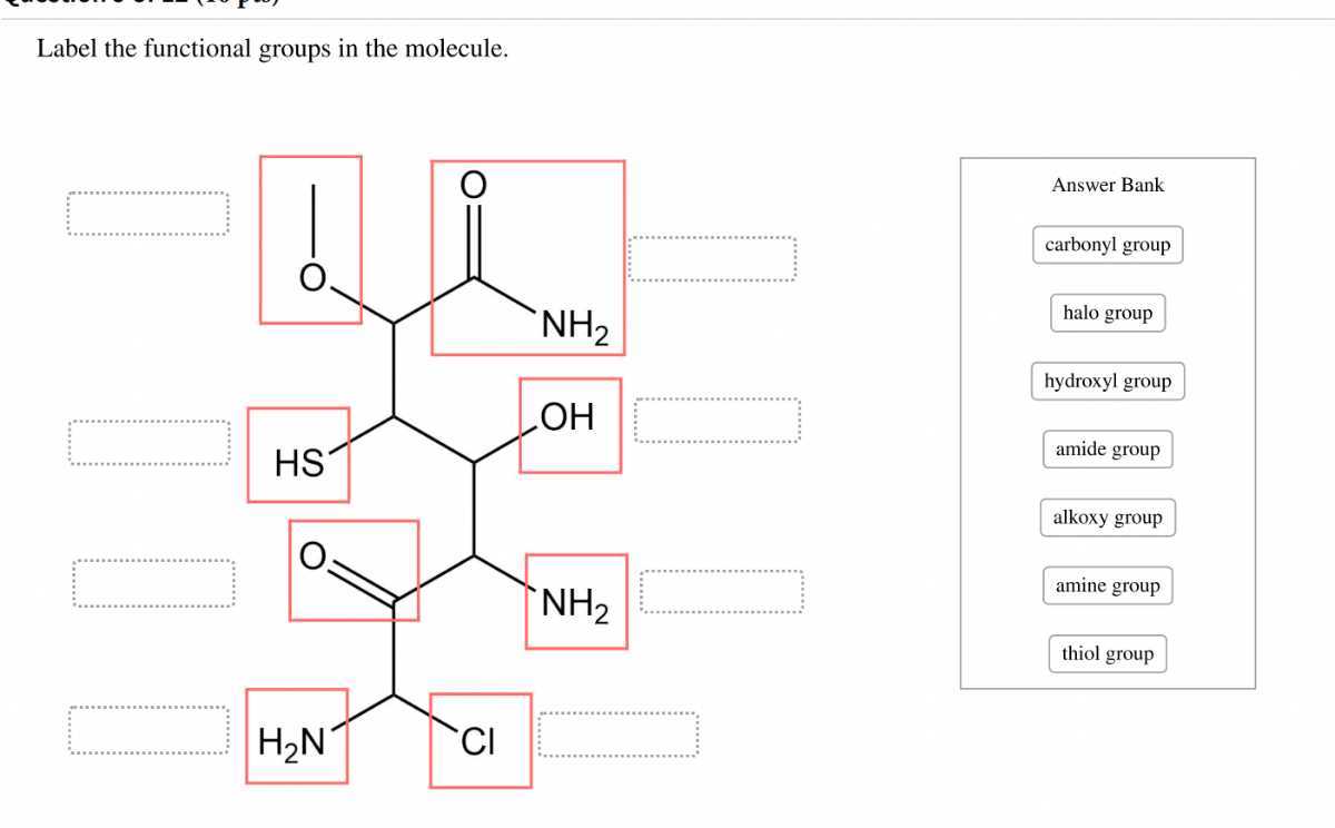 Label the functional groups in the molecule. Answer Bank carbonyl group ...