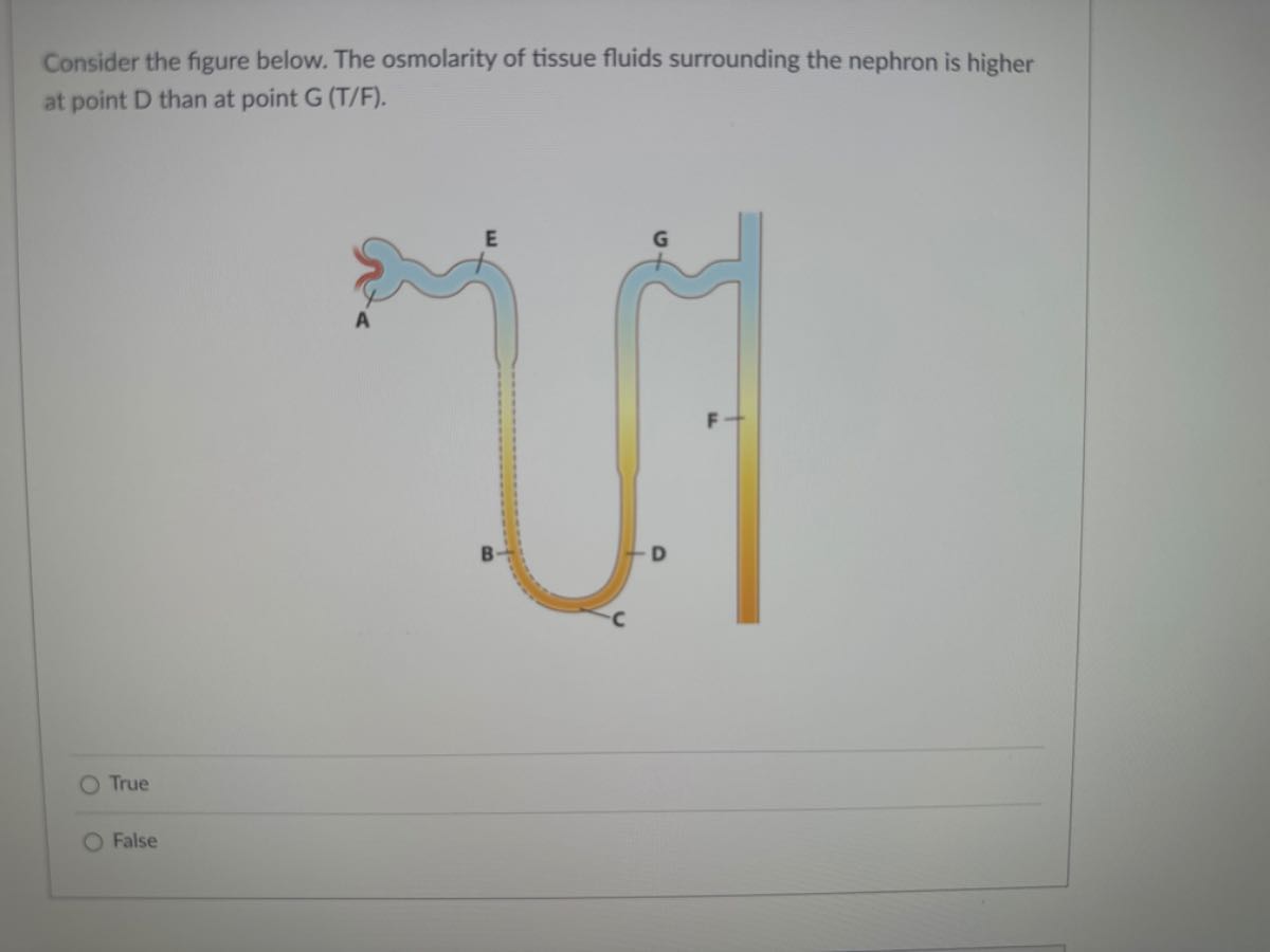 Consider the figure below. The osmolarity of tissue fluids surrounding ...
